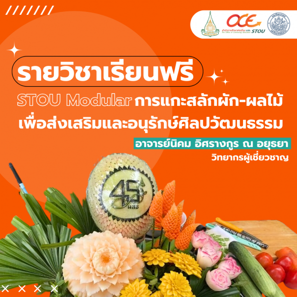 รายวิชา STOU Modular แบบไม่มีค่าใช้จ่าย – สำนักการศึกษาต่อเนื่อง มหาวิทยาลัยสุโขทัยธรรมาธิราช